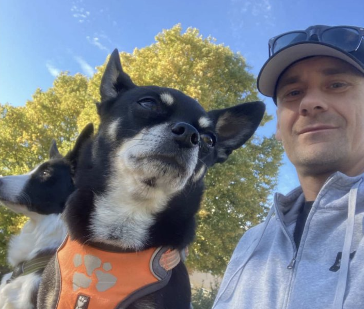 Ny på Briab men gammal i gamet - Daniel Friberg - Briab - Brand, Risk ...